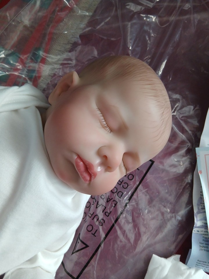 Reborn Doll. With Nappy, Bottle & Dummy. Birth Certificate. New ...