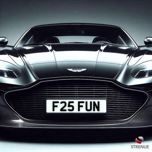 F25 FUN (Fun) Personalised Private Registration Plates Cherished ...