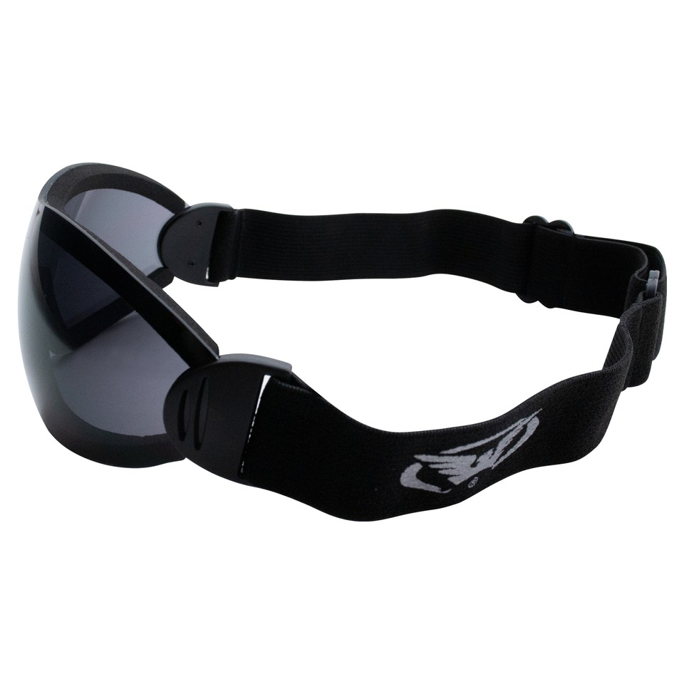 FLARE WING SKYDIVE SKYDIVING GOGGLES PARAGLIDING SMOKE INCLUDES STORAGE ...