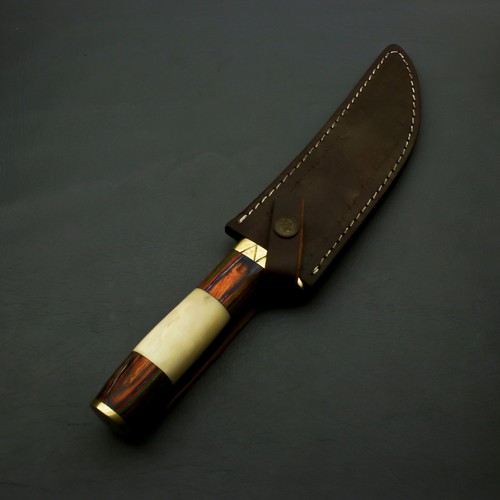 Damascus Steel Sharp Hunting SURVIVAL FIXED BLADE OUTDOORS Knife Bone ...
