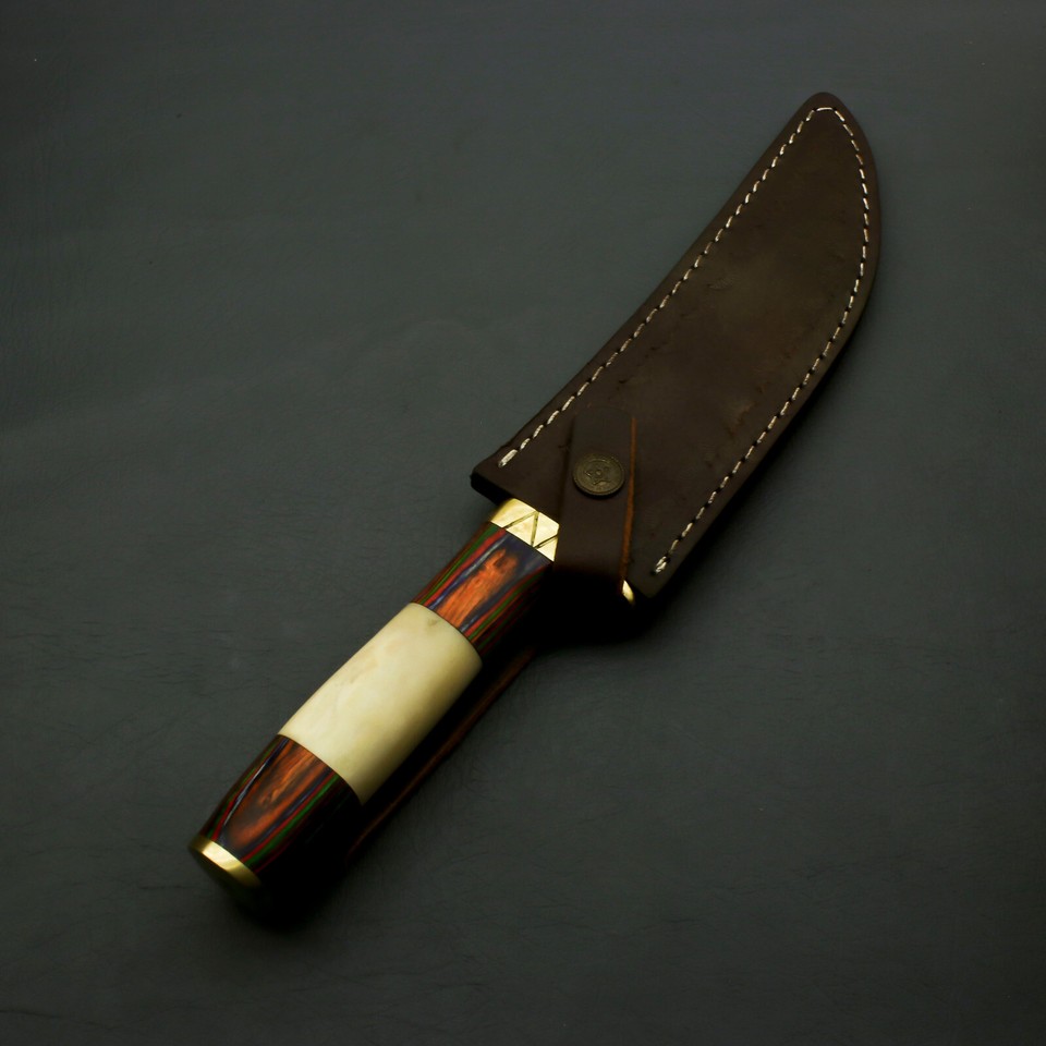 Damascus Steel Sharp Hunting SURVIVAL FIXED BLADE OUTDOORS Knife Bone ...