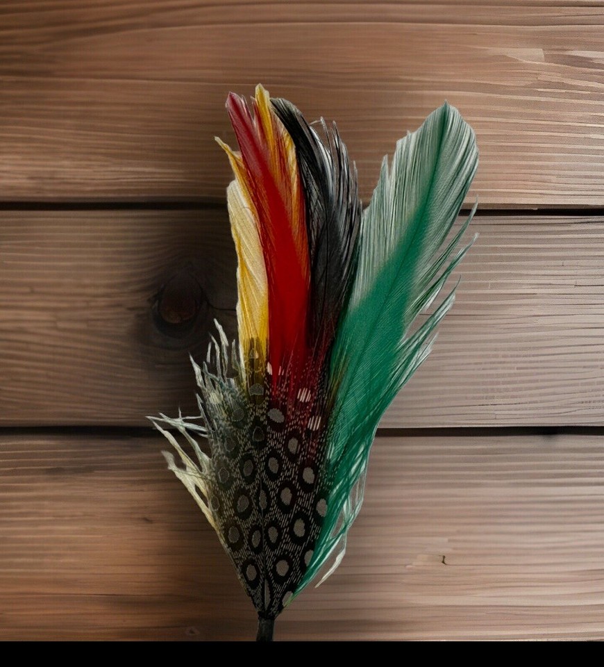 STETSON & RESISTOL ORIGINAL CLASSIC COLORED COWBOY HAT FEATHER | eBay
