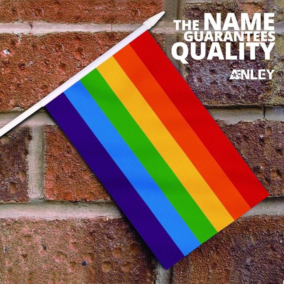 Anley Rainbow Gay Pride Mini Flag 12 Pack - Hand Held Small Miniature ...