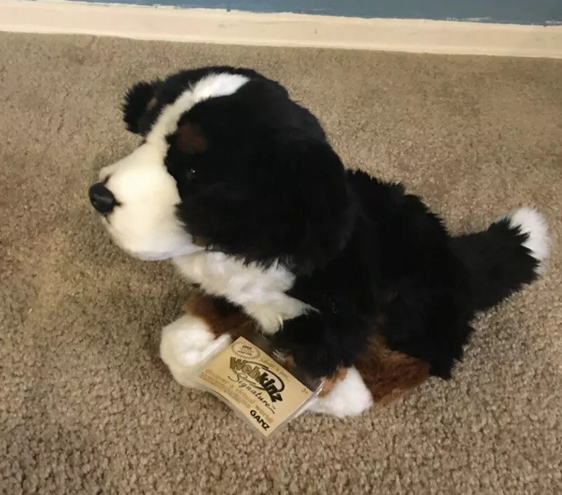 Webkinz Signature Bernese Mountain Dog