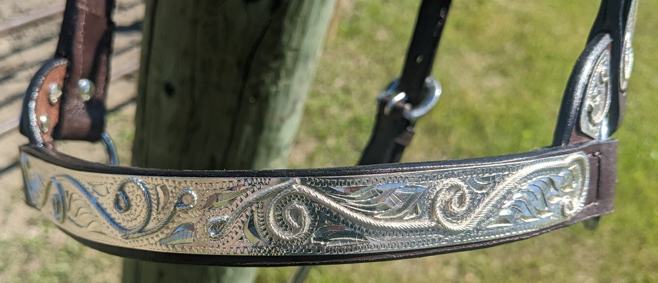 Silver Show Halter-Dark Oil Leather-Rope Design Horse Size-Matching ...