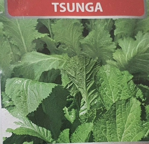 15 Tsunga Mustard Greens Vegetable seeds. - Edible Brassica (Zimbabwe ...