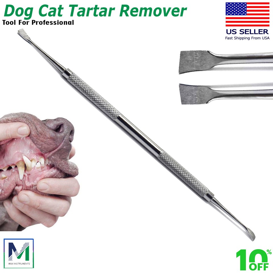 Tartar Calculus Remover Dental Veterinary Dog Pet Tooth Filling ...