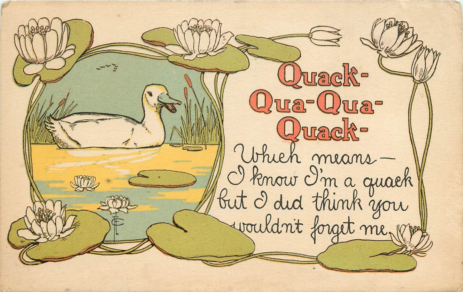 Cavally Interpretation Postcard 5455 Duck Says I Know I'm a Quack, Don ...