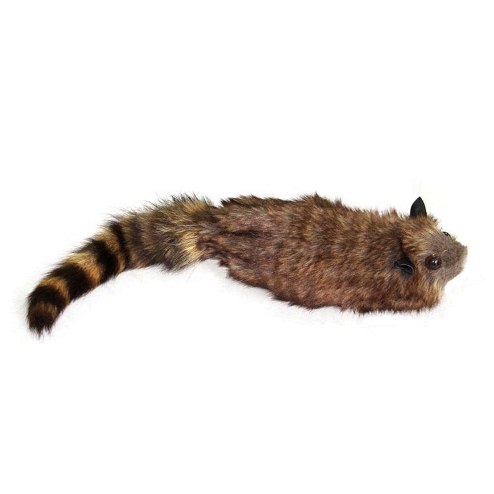 Spring Powered Rocky Raccoon Magic Raccoon Magic Tricks Stage Street | eBay