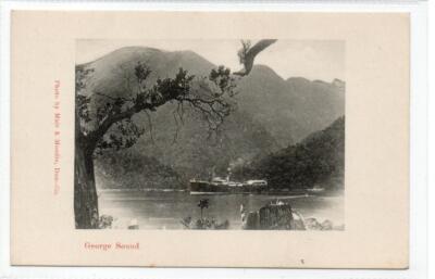GEORGE SOUND: New Zealand early undivided back postcard (C80470) | eBay