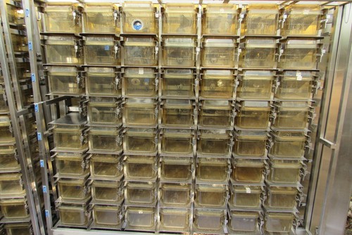 Allentown MD75JU112MVP-A Rat Mouse Rack 112 Cage Double Sided w75 Jag ...