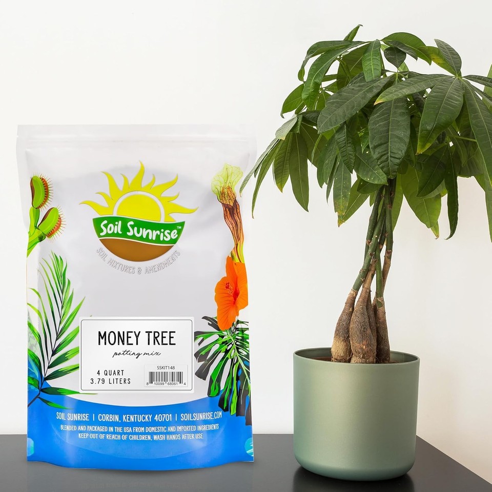Money Tree Potting Soil Mix (4 Quarts); Custom Blend for Plant 4 Quarts ...