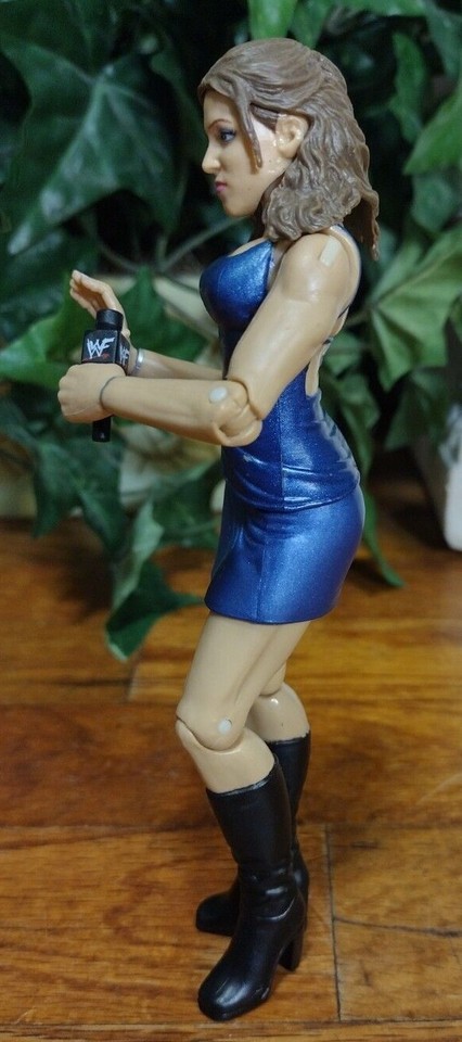 2001 Rare Party Variant Stephanie McMahon-Helmsley Action Figure ...