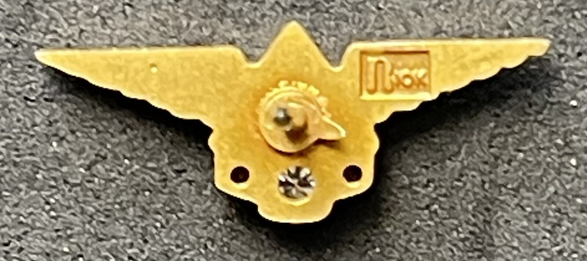 Vintage Delta Airlines 25 Year Service Pin