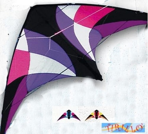 AQUILONI - Aquilone professionale Didakites Wizzard - 180x95 cm ...