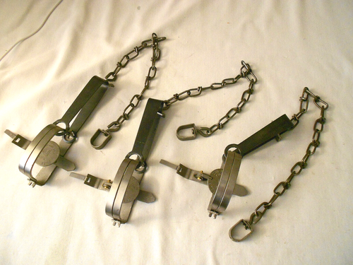 { 3 Duke #11 Long Spring Foothold Traps Mink Muskrat Gopher Trap ...