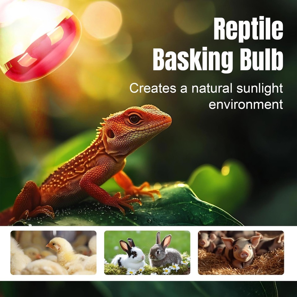 250W R40 Red Heat Lamp Bulbs (4-Pack), Infrared Heat Bulbs, Infrared ...