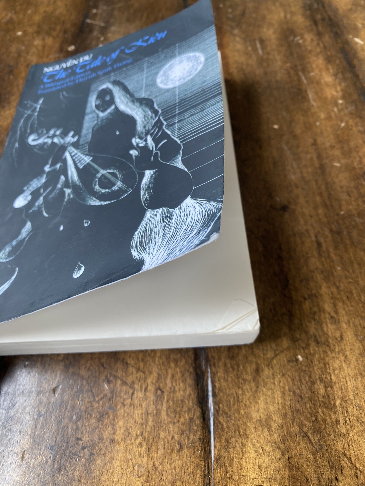 The Tale of Kieu: A Bilingual Edition of Nguyen Du's Truyen Kieu by ...