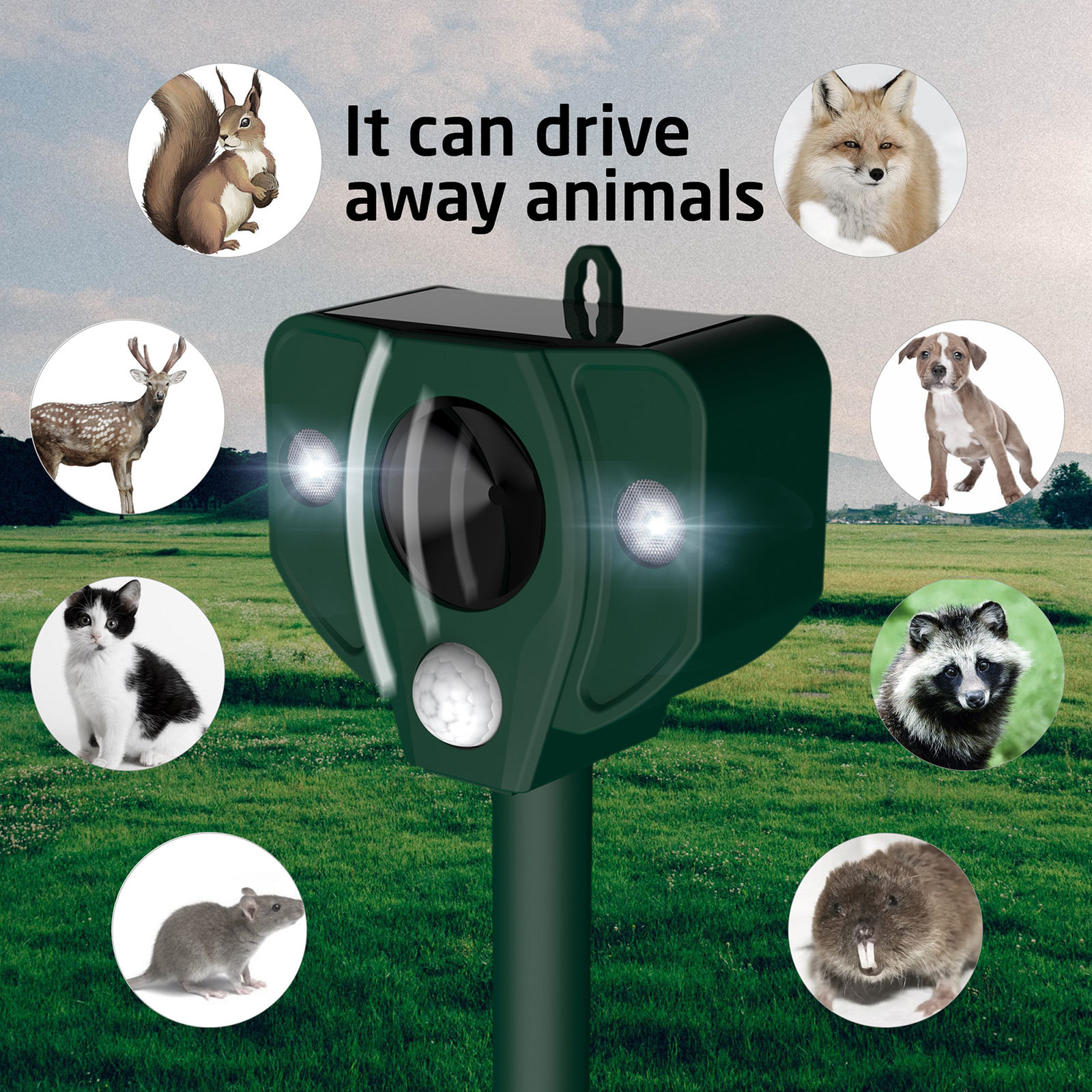 Solar Animal & Pets Ultrasonic Bird Repeller Motion Sensor Snake Cat ...