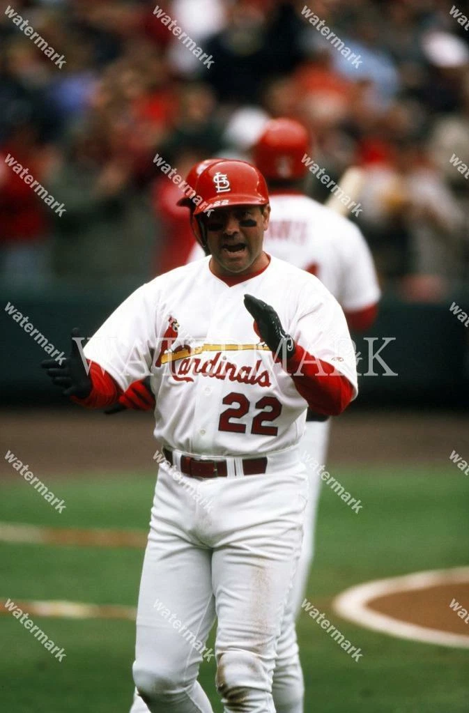 Cardinals Baseball Players