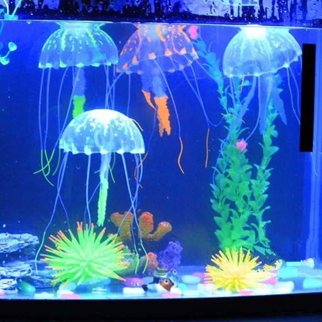 Glowing Fish Tank