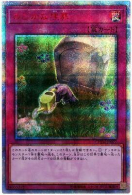CHIM-JP077 - Yugioh - Japanese - Soothing Burial - 20th Secret | eBay