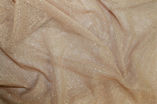 TAN FLESH SKIN SILVER GLITTER 4 WAY STRETCH NET POWER MESH BODY ...