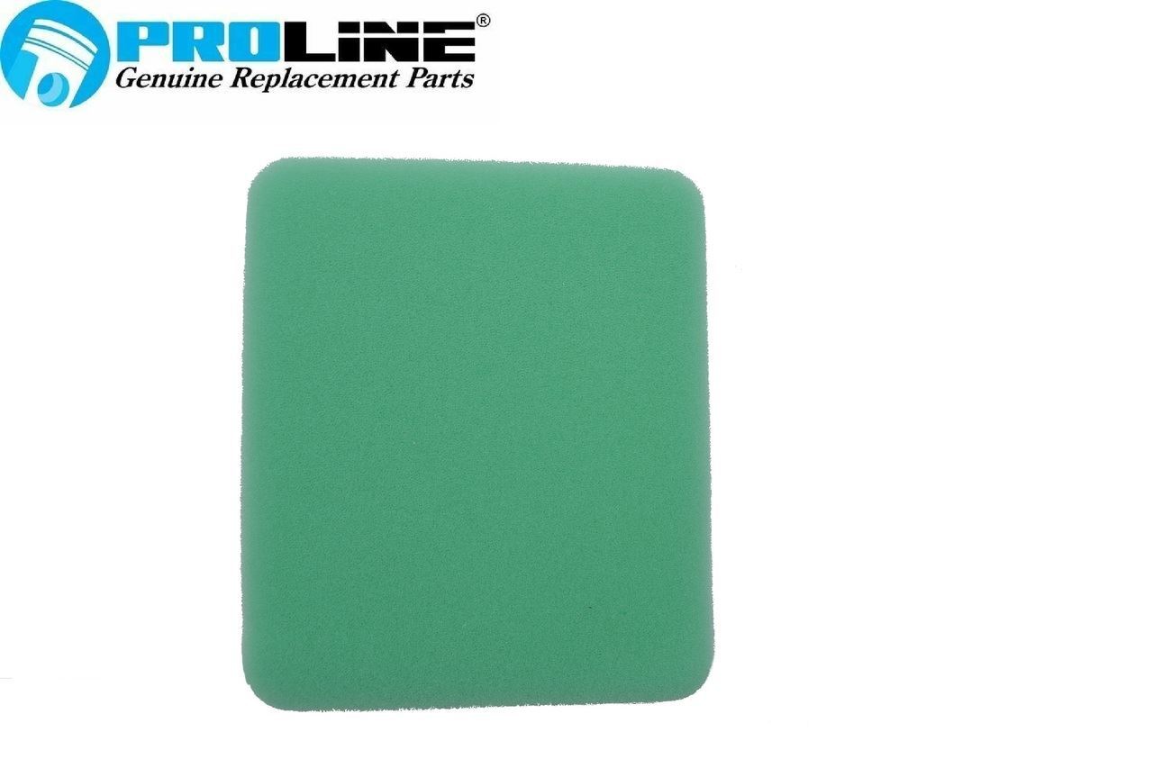 Proline® Pre Filter For Briggs & Stratton 491435S | eBay