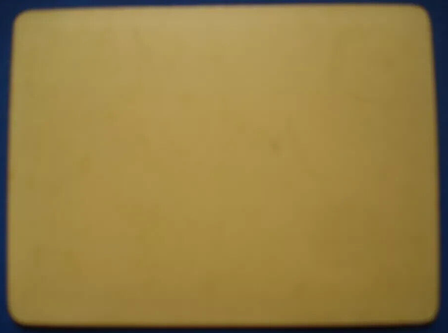 19th Rare Antique Early CDV Photo of Little Pet Dog c.1889 | eBay