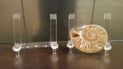 *3 Premium 3" (36A) Display Stand Ammonite Goniatite Meteorite Tektite ...