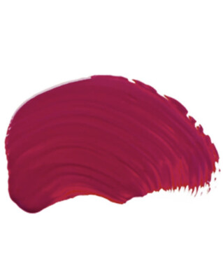 Palladio Intense Lip Paint 4Ever+Ever Swoon Summer Berry Lip Color Aloe ...