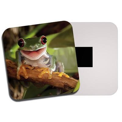 Smiling Green Frog Fridge Magnet - Amphibian Tree Jungle Funny Cute ...