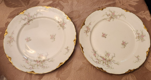 Set of 2 Warwick 10" Plates Floral W/ Gold Trim Scalloped Edge Design ...