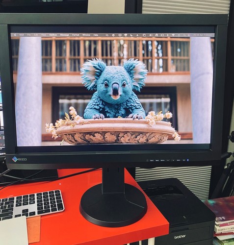 Eizo ColorEdge CG246 SELF CALIBRATING Professional LCD Colour Monitor ...