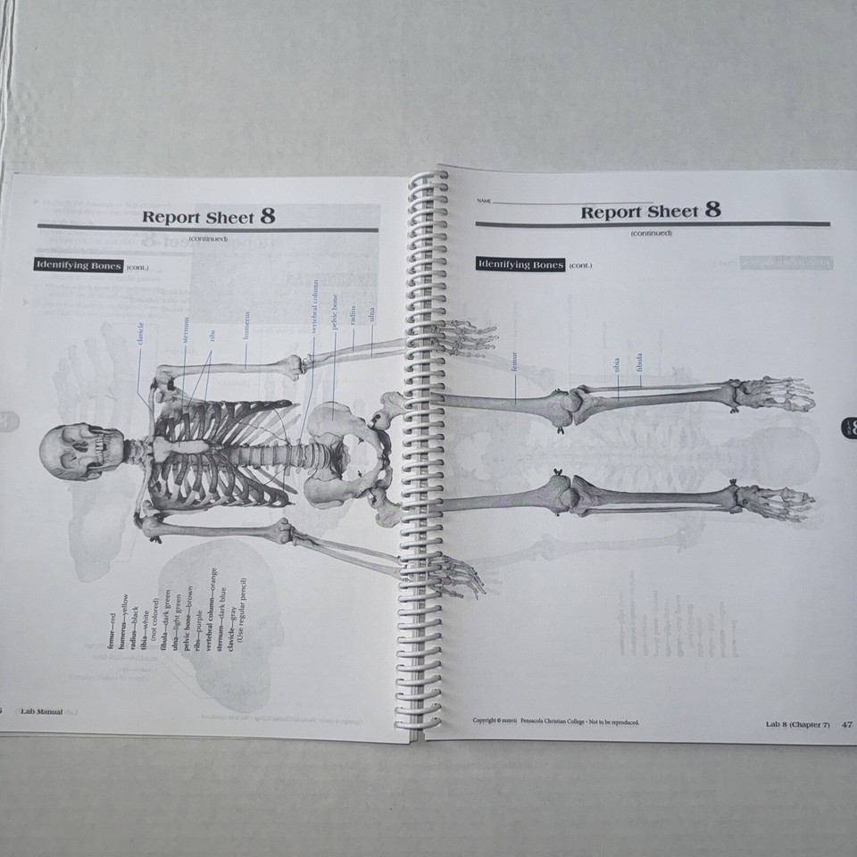 Abeka 10th Grade Biology Field and Laboratory Manual 3rd Edition ...