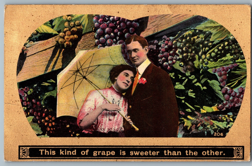 “This Kind of Grape Is Sweeter” Romantic Couple 1910 Auburn NY Cancel ...