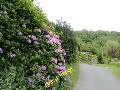 Photo 6x4 Lane by Cosford Farm Bowlhead Green c2013 | eBay