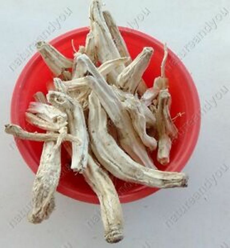 CENTAUREA BEHEN -BEHMAN SAFED BAHMAN WHITE 100% PURE & NATURAL FREE ...