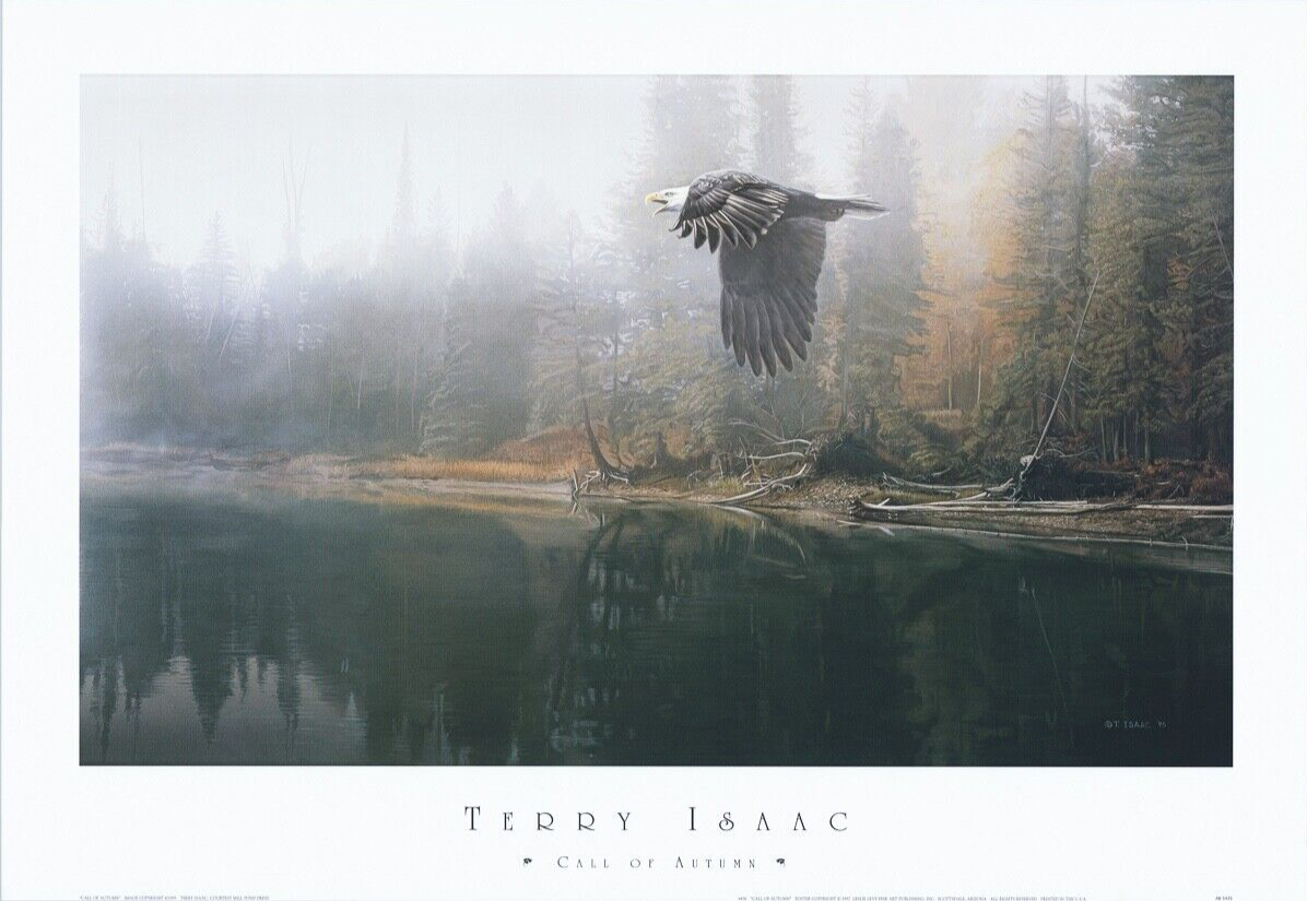 Bald Eagle Call of Autumn Terry Isaac 34x23.5 in | eBay