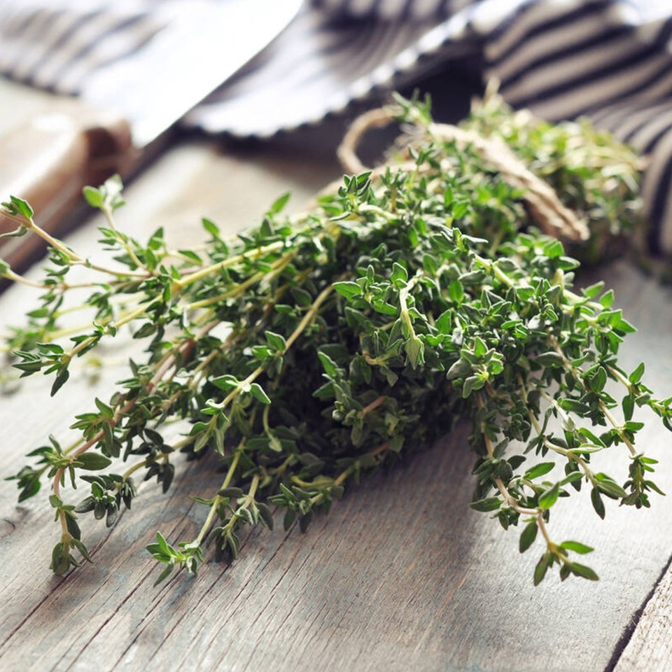 Thyme Herb - Cooking Plant | Kitchen Garden Vegetable Culinary Fresh Herbs | eBay UK