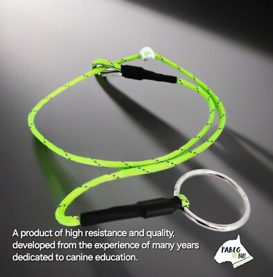 Premium Choke Slip Collar Dog Training Gundog Prong Grot French ...