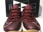 Nike LeBron Xlll Low 'CAVS' LE XX16 Red/Maroon 831925-610 Sz 9.5 10.5 ...