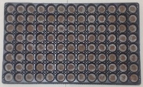 Jiffy 7 Peat Pellet Tray 104 Cell 30mm Jiffy with Tray Ready for ...