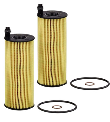 Mann-filter Oil Filters HU6004x 2Pack fits BMW 3 series F34 320d | eBay ...