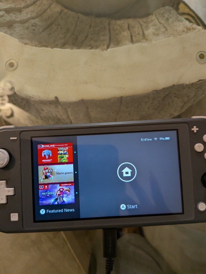 Nintendo Switch Lite | eBay