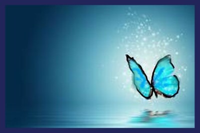 Blue Sparkle Butterfly Beauty Shadow Reflection Flutter MAGNET | eBay