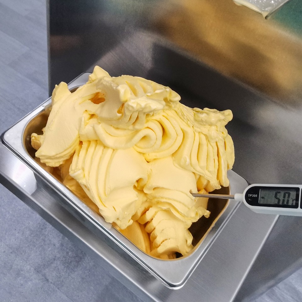 Wixkix Sorbet Maker Machine Commercial 16 Gal/H Hard Serve Ice Cream ...