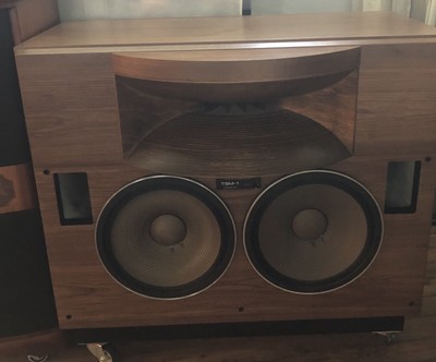 TAD 2401 | Audiokarma Home Audio Stereo Discussion Forums