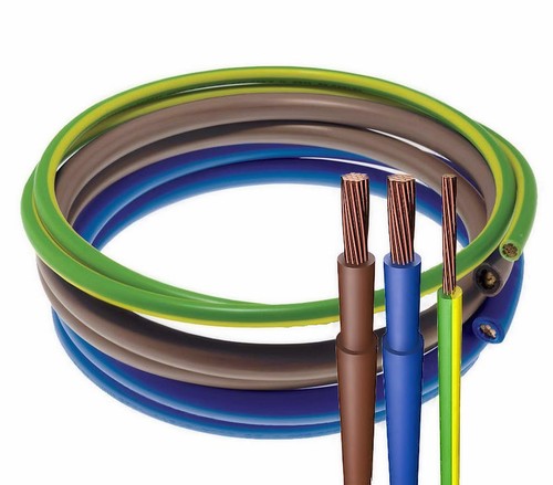 2M Flexi-Tail 19 Strand 25mm 6181Y Blue/Brown Double Insulated Tails ...