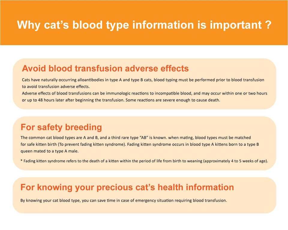 [L2J BIO] Feline AB Blood Typing Rapid Kit, Health Test Kit for Pet ...